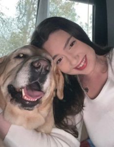 Springfield, OR 97477 Veterinarians | Wilvet South